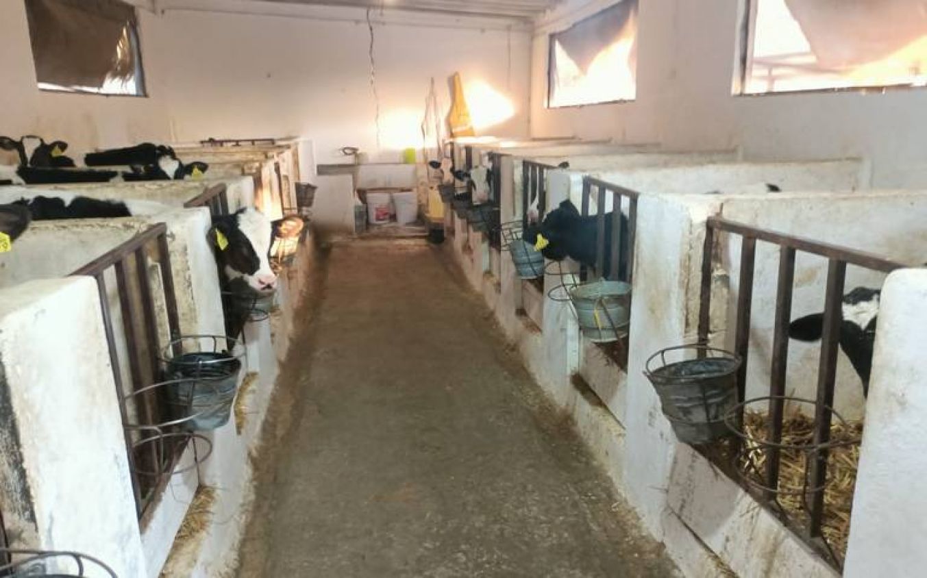 Sin afectaciones el campo agrícola en Tlaxcala por cenizas del popo: SIA